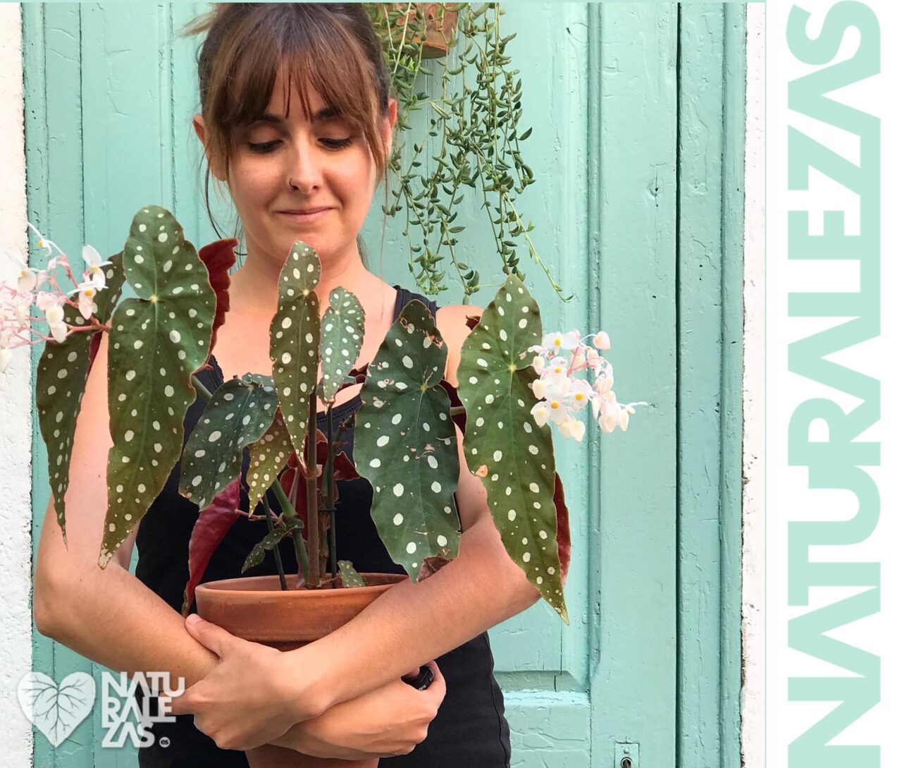 Alba Núñez: vivo en la ciudad rodeada de plantas y mi vida diaria está ...